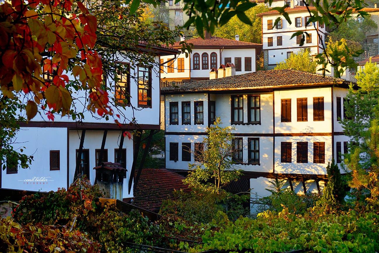 Inland Turkey Houses